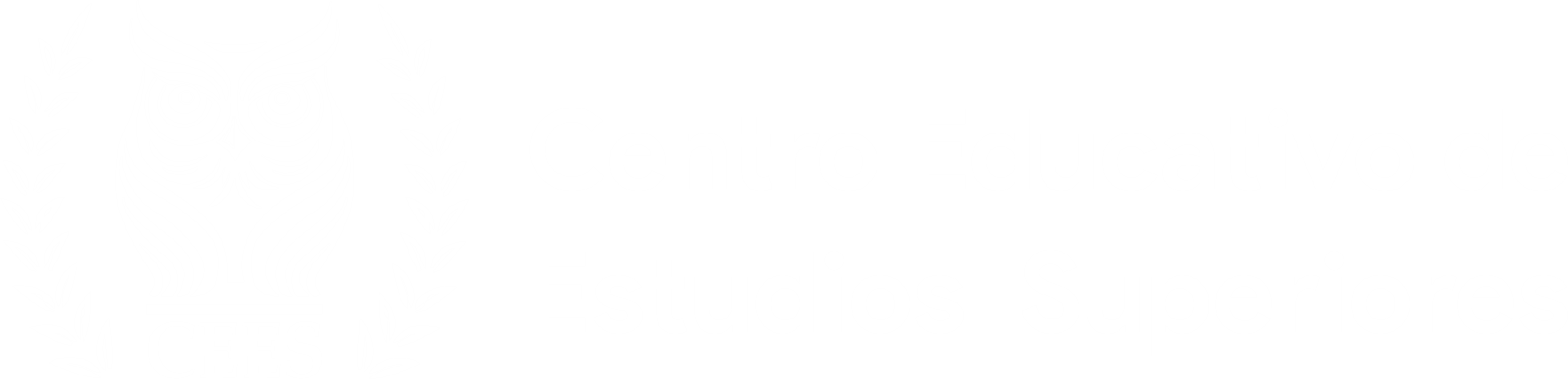 CEES | Centro Educativo de Estudios Superiores